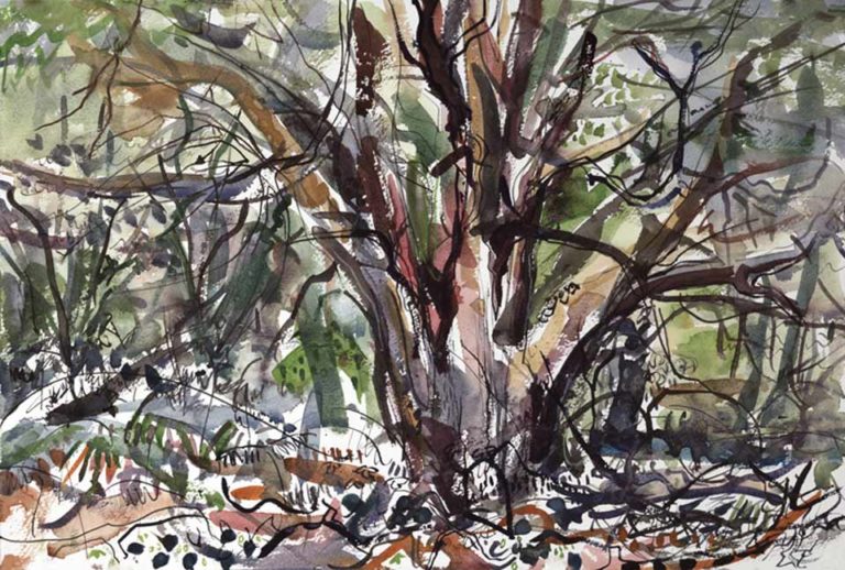 NIK POLLARD – THE DOLBY GALLERY