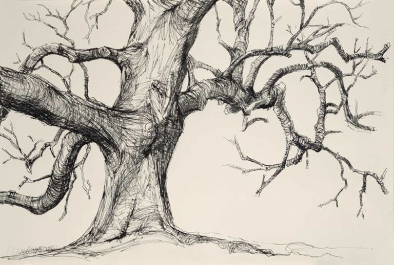 NIK POLLARD – THE DOLBY GALLERY