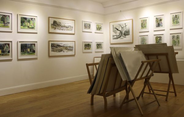 NIK POLLARD – THE DOLBY GALLERY