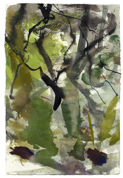 NIK POLLARD – THE DOLBY GALLERY