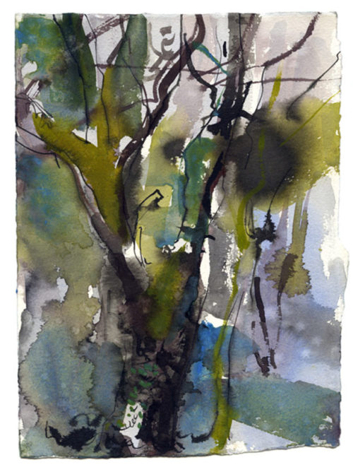 NIK POLLARD – THE DOLBY GALLERY