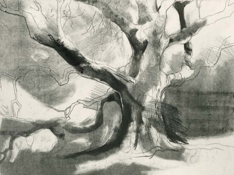 NIK POLLARD – THE DOLBY GALLERY